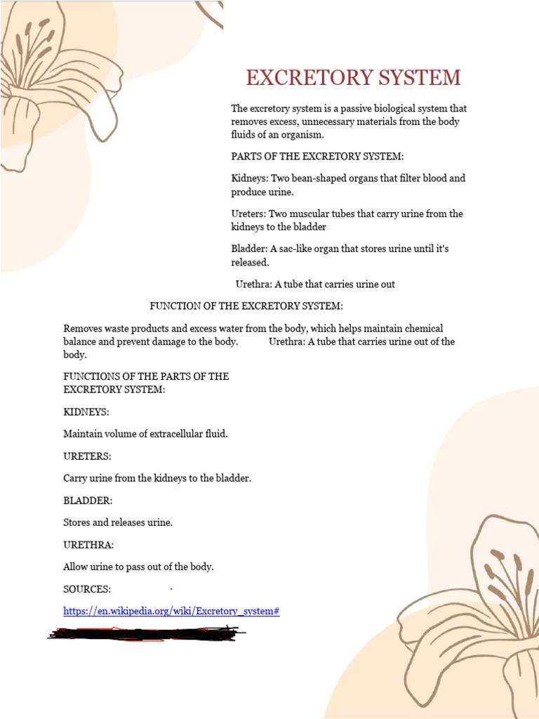 EXCRETORY SYSTEM | PDF