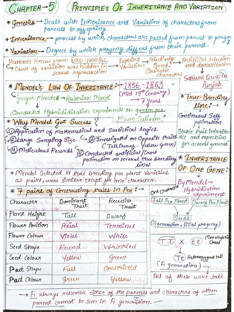 principles of inheritance and variations | PDF