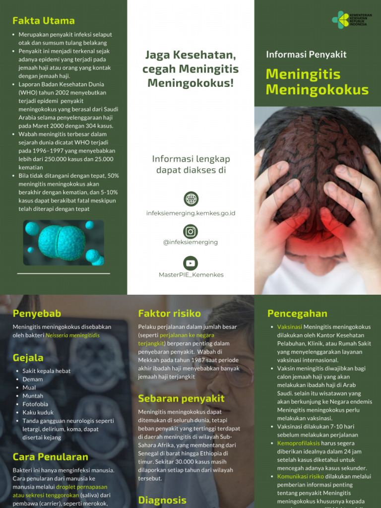 Leaflet Meningitis Meningokokus | PDF