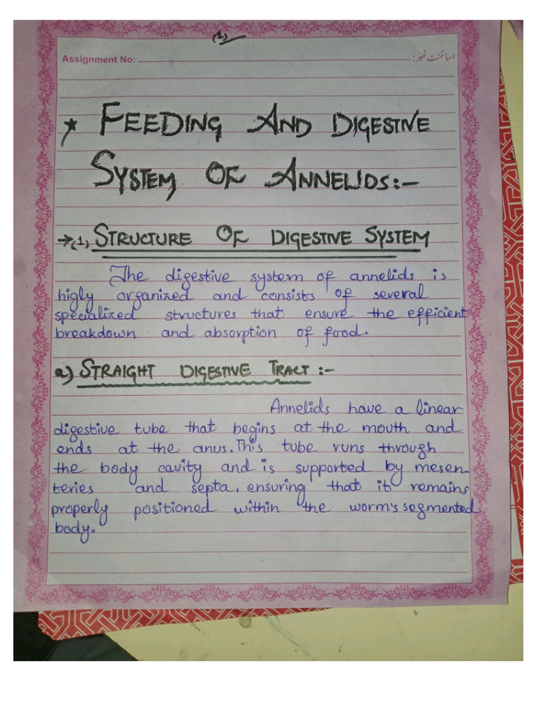 Feeding and Digestive System of Annelida | PDF