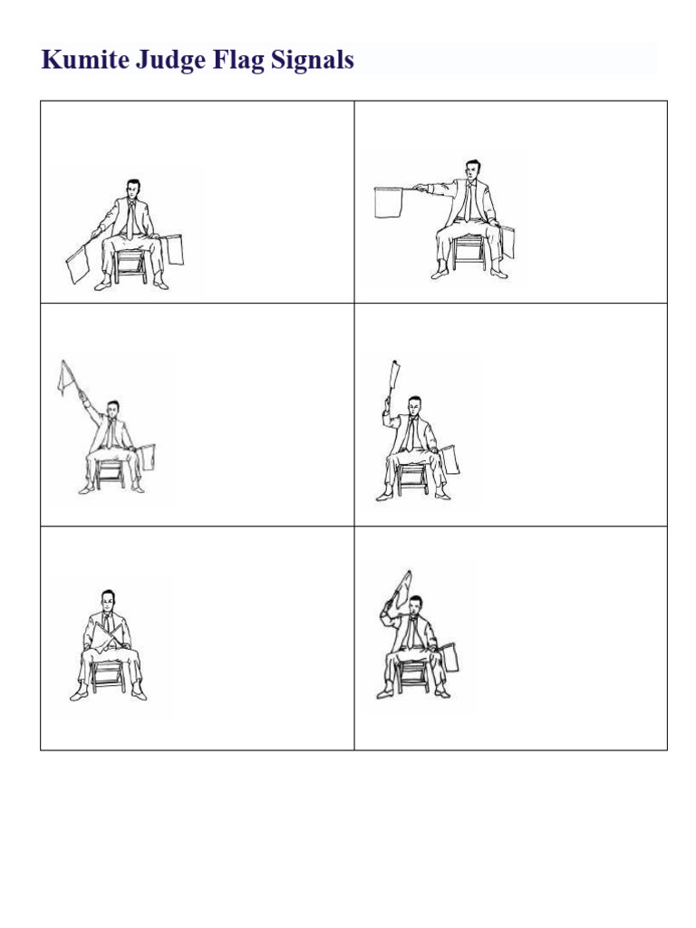Kumite Judge Flag Signals | PDF