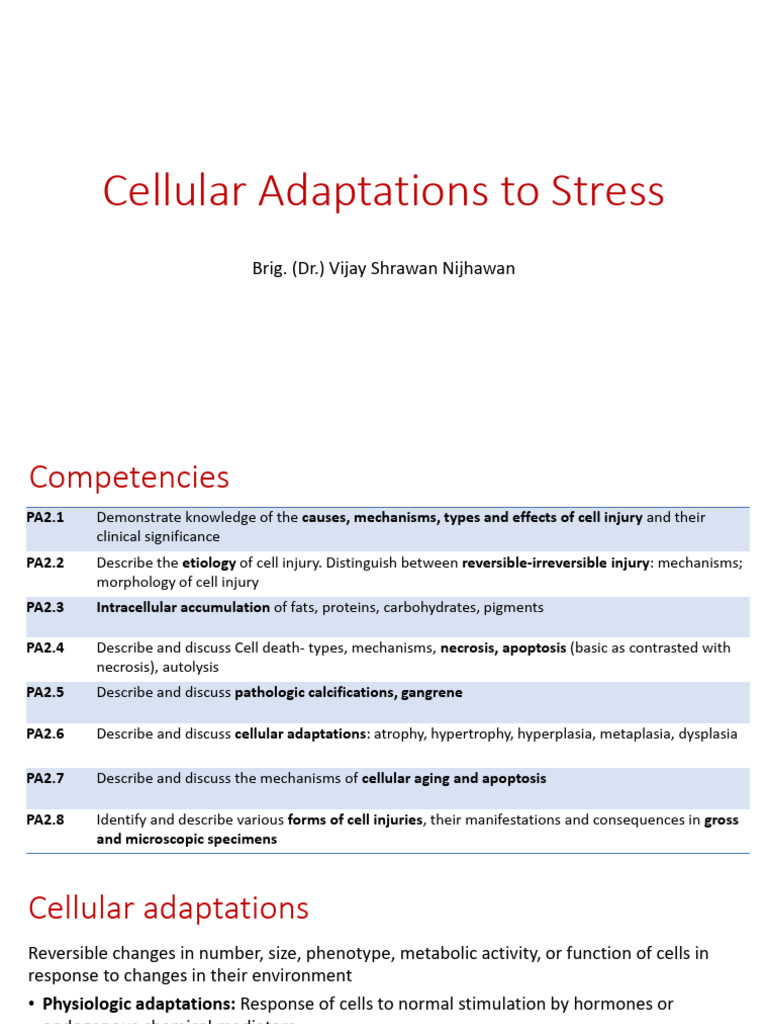 Cellular Adaptations To Stress 2023 | PDF | Anatomy | Medical Specialties