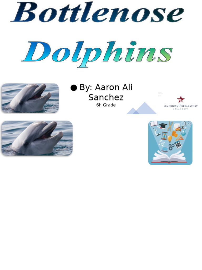 Aaron Ali Sanchez - Bottlenose Dolphins | PDF | Volcano | Types Of ...