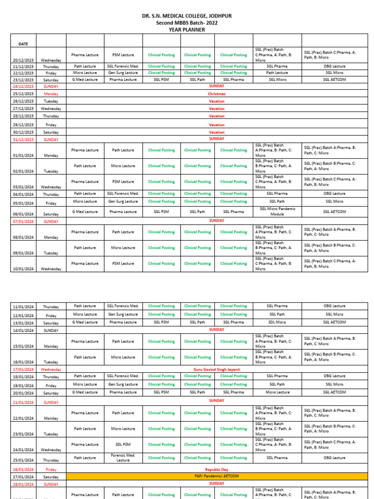 Second MBBS Batch - 2022 Year Planner | PDF