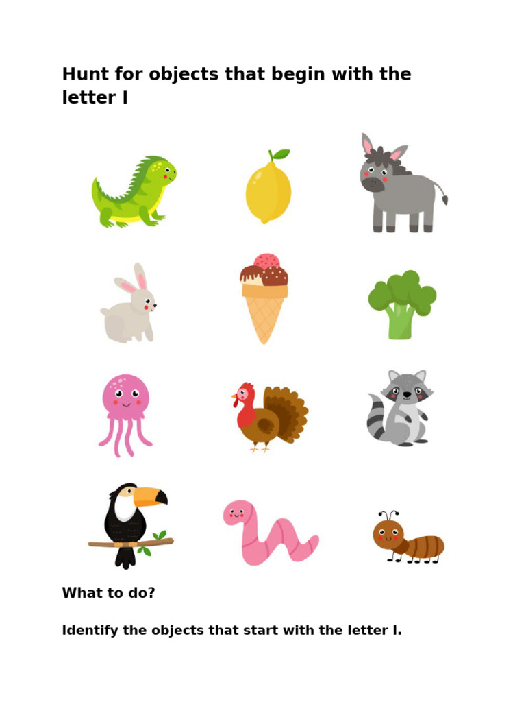 Identify The Objects I Eng Literacy Puzzle | PDF