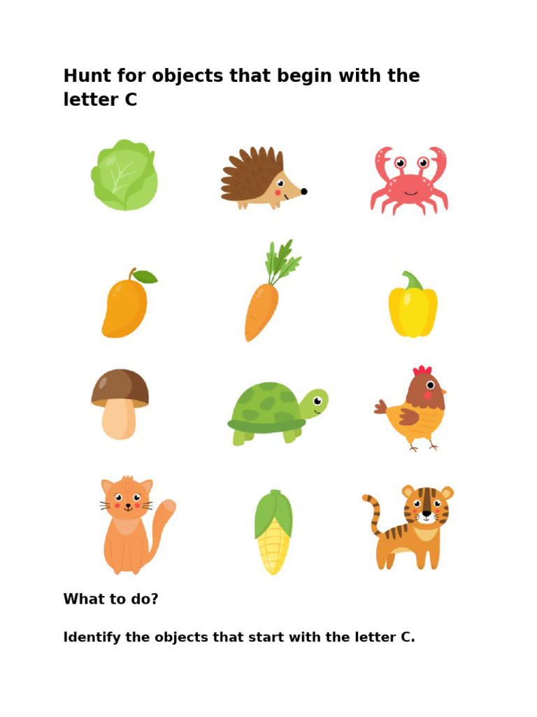 Identify The Objects C Eng Literacy Puzzle | PDF