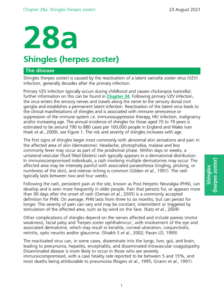 Green Book of Immunisation 28a Shingles | PDF | Immunology | Clinical Medicine