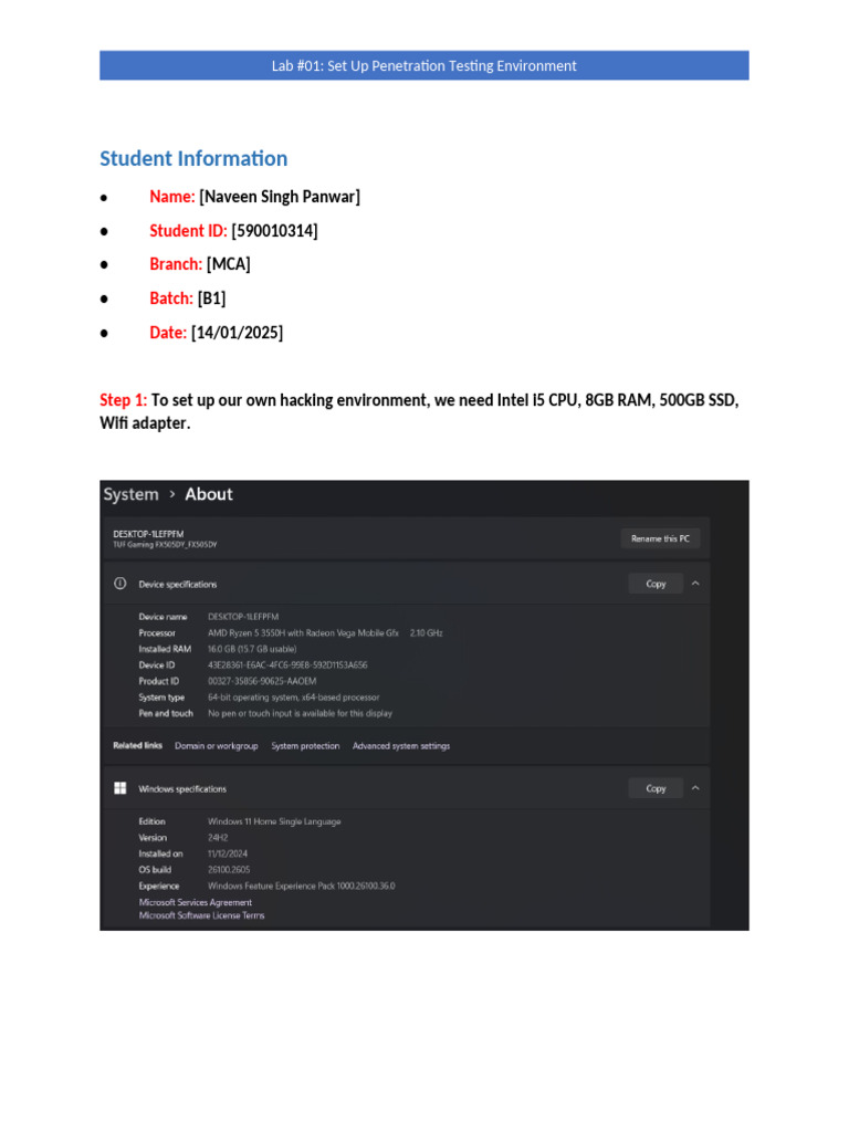 LAB-1 (CyberSecurity) | PDF