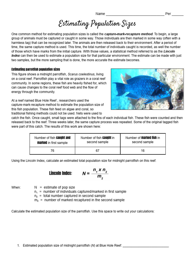 Lincon Index Make Up Lab | PDF