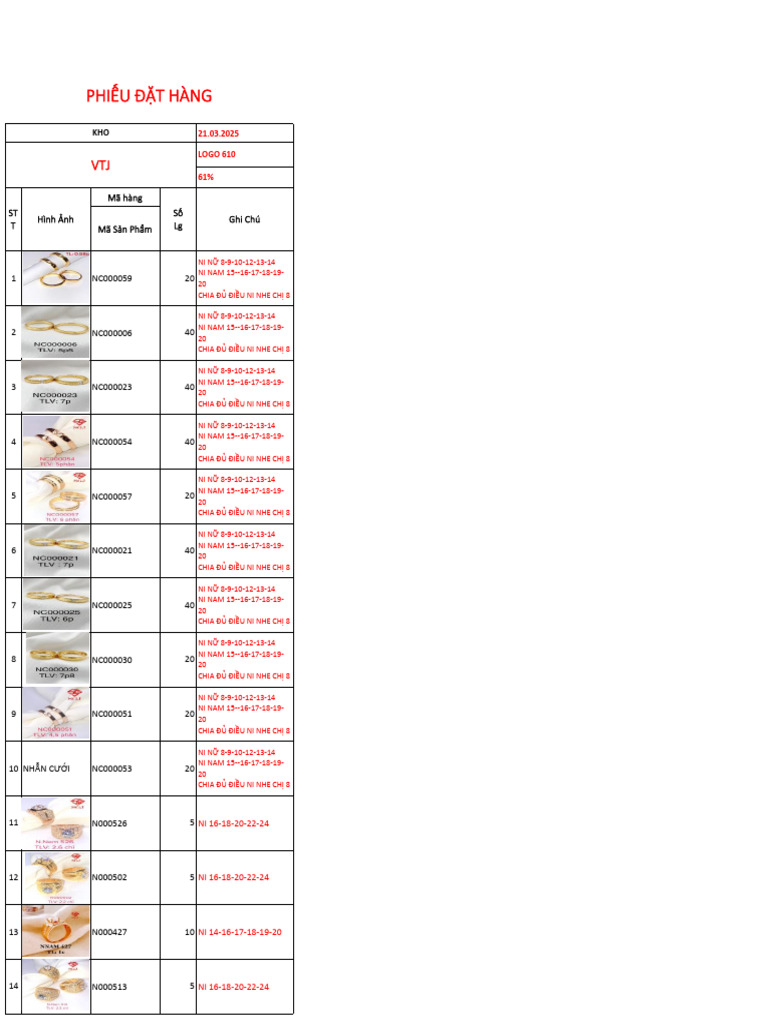 Order VTJ 610 - 21.03.2025 | PDF