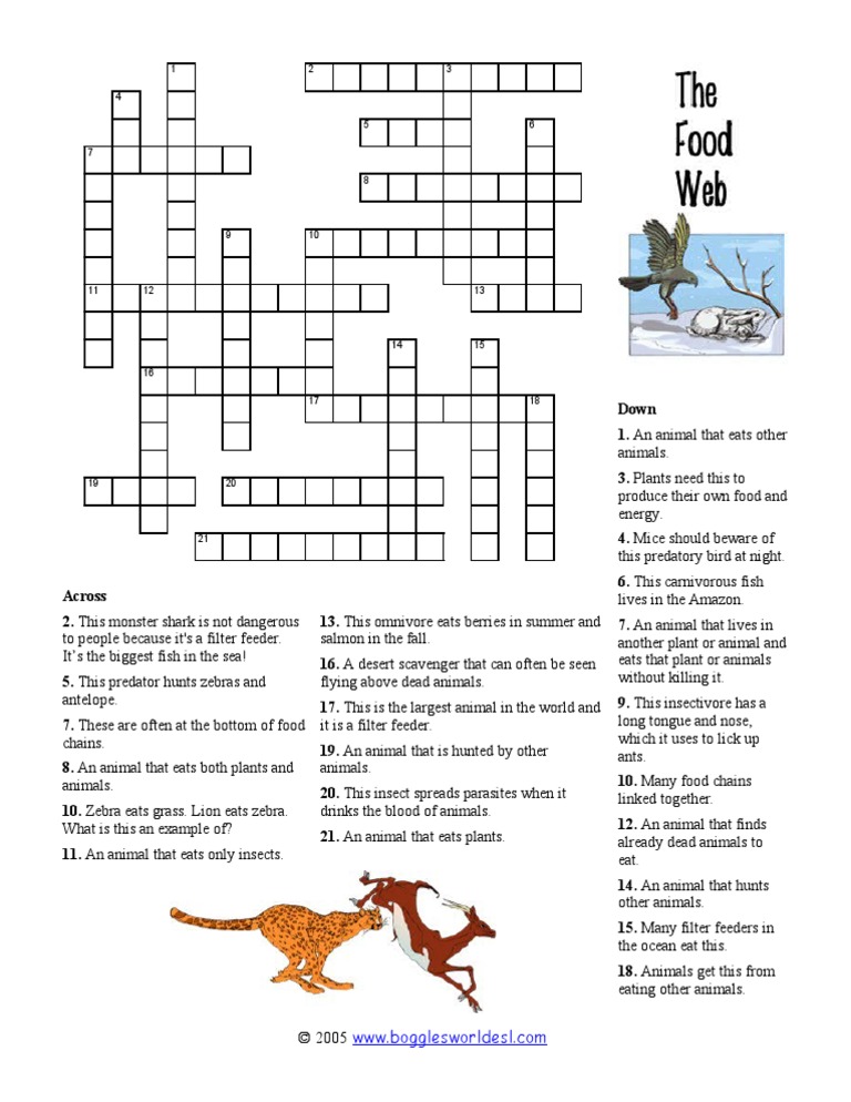 Food Chain and Web Crossword Puzzle | PDF | Science & Mathematics