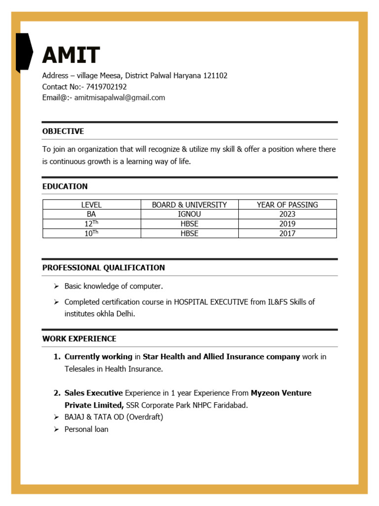 Amit Resume | PDF