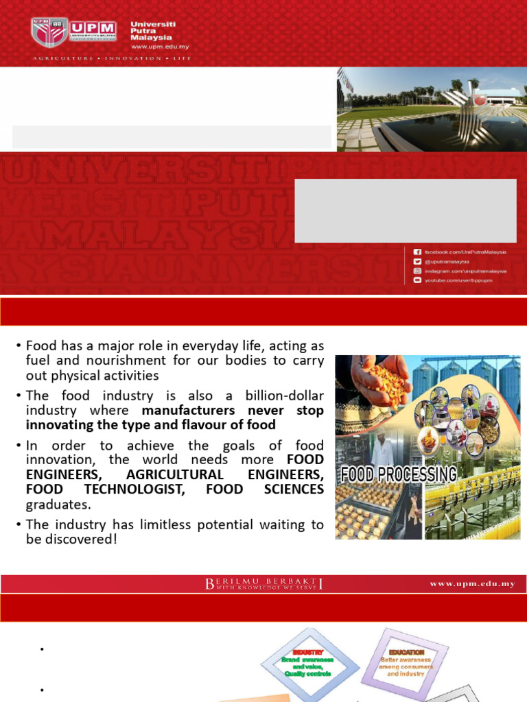 Food Engineering: Role & Importance | PDF | Engineering | Food Science
