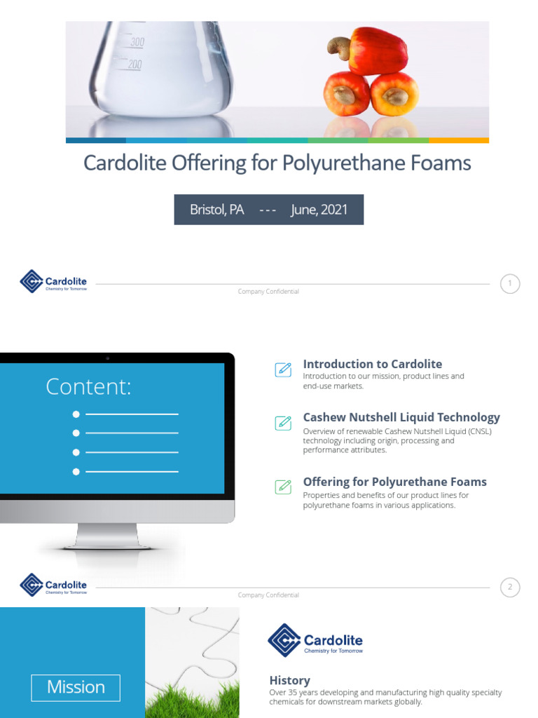 Cardolite Offering for Polyurethane Foams July 2021 (1) | PDF | Epoxy ...