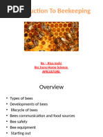 BSS Progression and Strategy Guide | PDF | Bees | Beehive