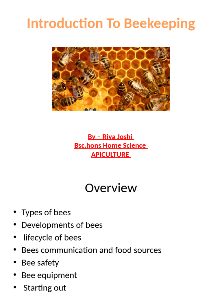 GCRB PowerPoint-Presentation Basic Beehive-FINAL | PDF | Beehive ...
