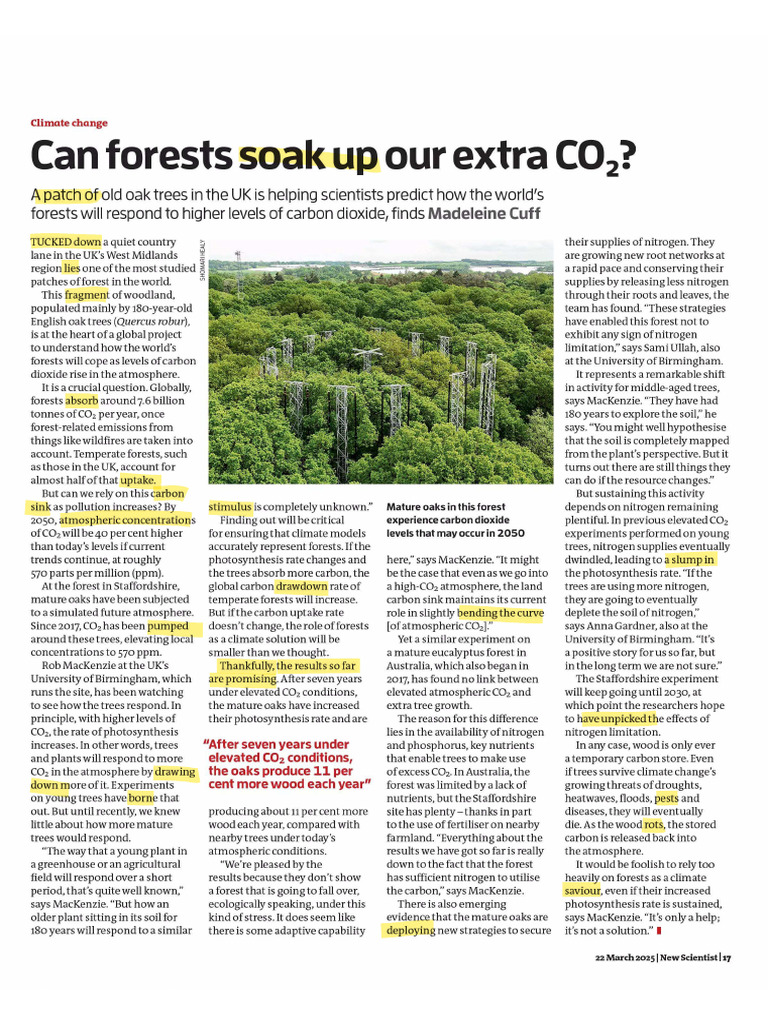 Article N5-100 | PDF