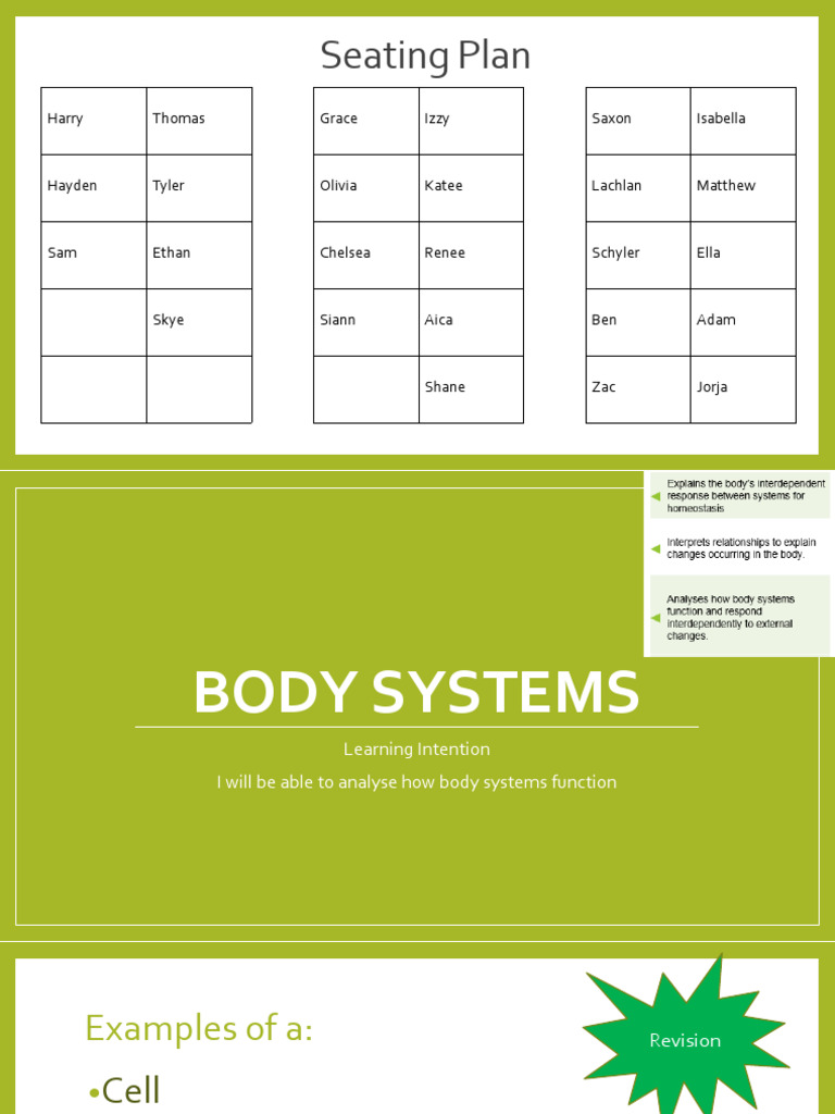 Week 1 Lesson 3 Body Systems | PDF | Human Body | Muscle