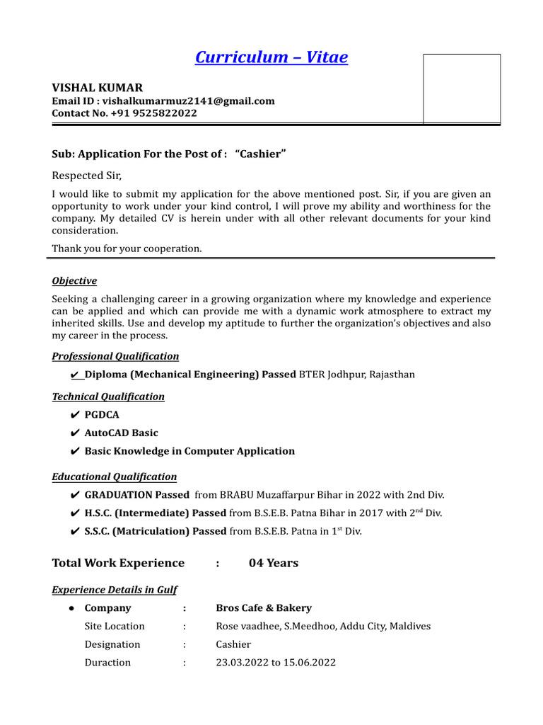 Cashier Vishal Cv_compressed | PDF