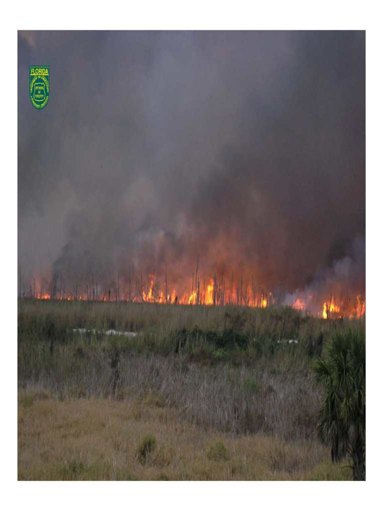 10 - Geospatial Technologies in Wildland Fire Managementsm | PDF | Geographic Information System ...