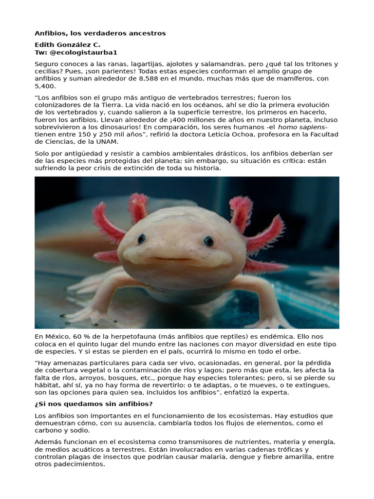 Anfibios 3 | PDF | Anfibio | Ecosistema