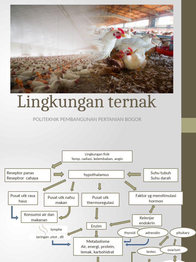 MATERI Lingkungan Ternak | PDF