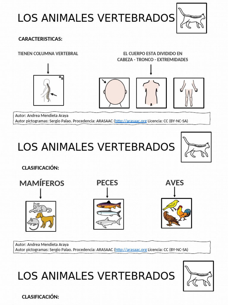 LOS ANIMALES VERTEBRADOS | PDF | Reptil | Vertebrados