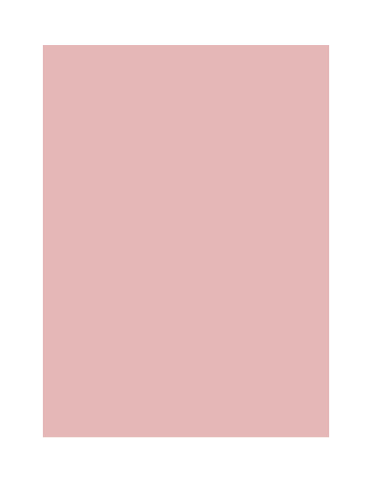 Blank Pink | PDF