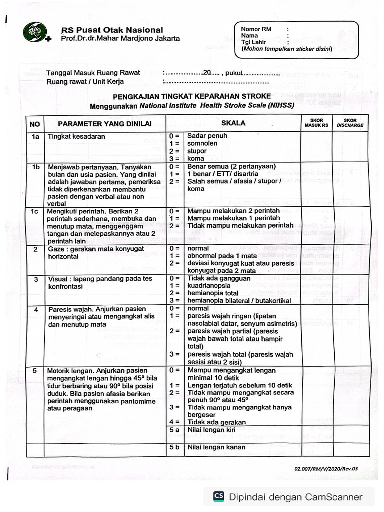 NIHSS | PDF