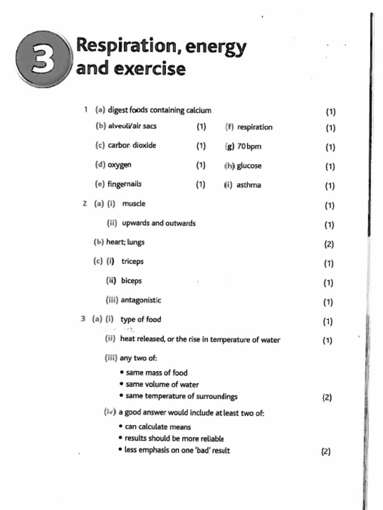 Respiration Answers | PDF