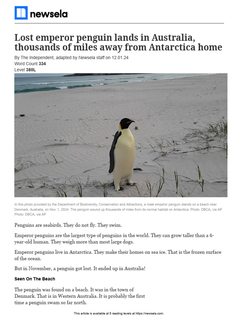 Lost Emperor Penguin in Australia | PDF | Penguin | Antarctica
