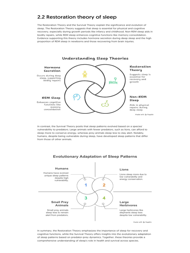 2.2 Restoration Theory of Sleep | PDF | Sleep | Predation