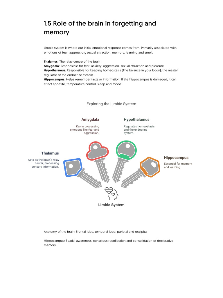 1.5 Role of The Brain in Forgetting and Memory | PDF