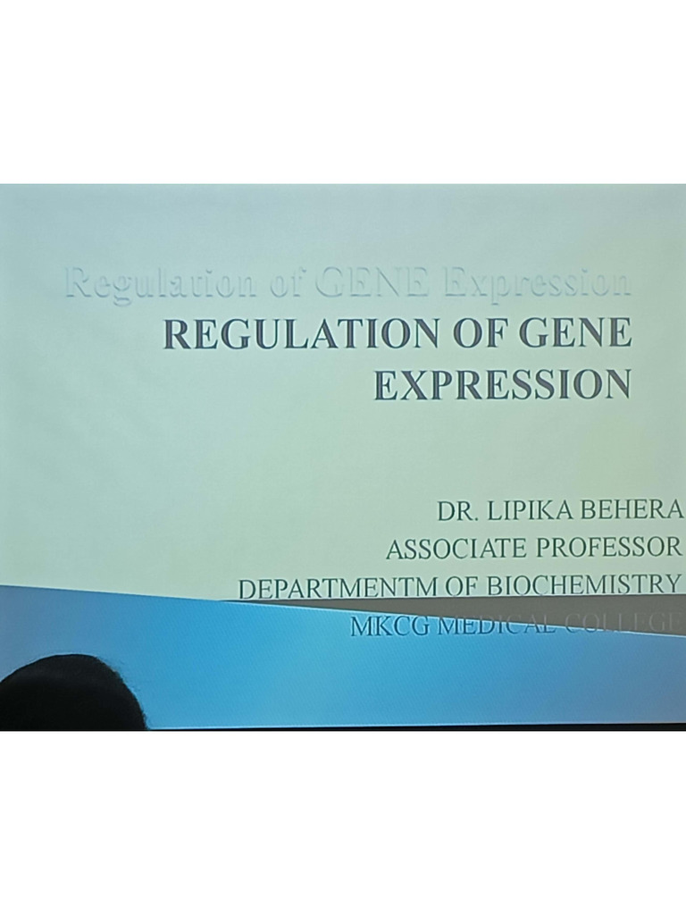 Regulation of Gene Expression | PDF