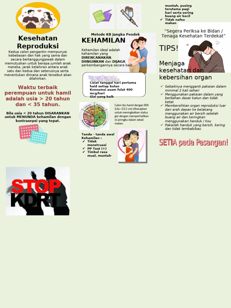 Leaflet Kesehatan Reproduksi Catin | PDF