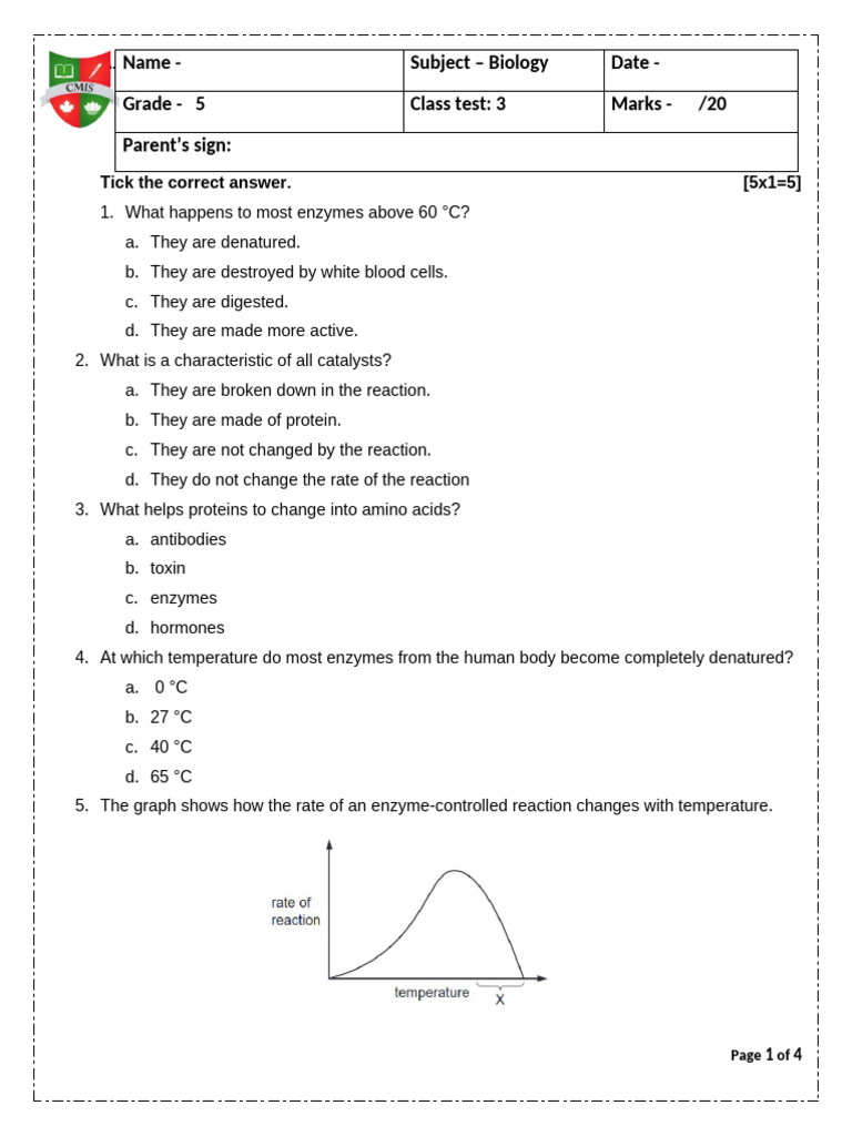 G5_Biology_CT3_Enzymes_T2_2024-25 | PDF