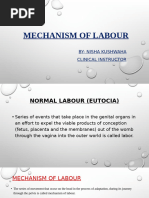 Mechanism of Labour | PDF | Pelvis | Anatomical Terms Of Motion