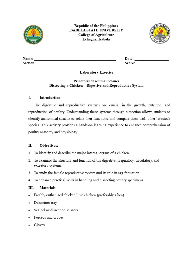 Lab Exercise Chicken Dissection | PDF | Egg | Anatomy