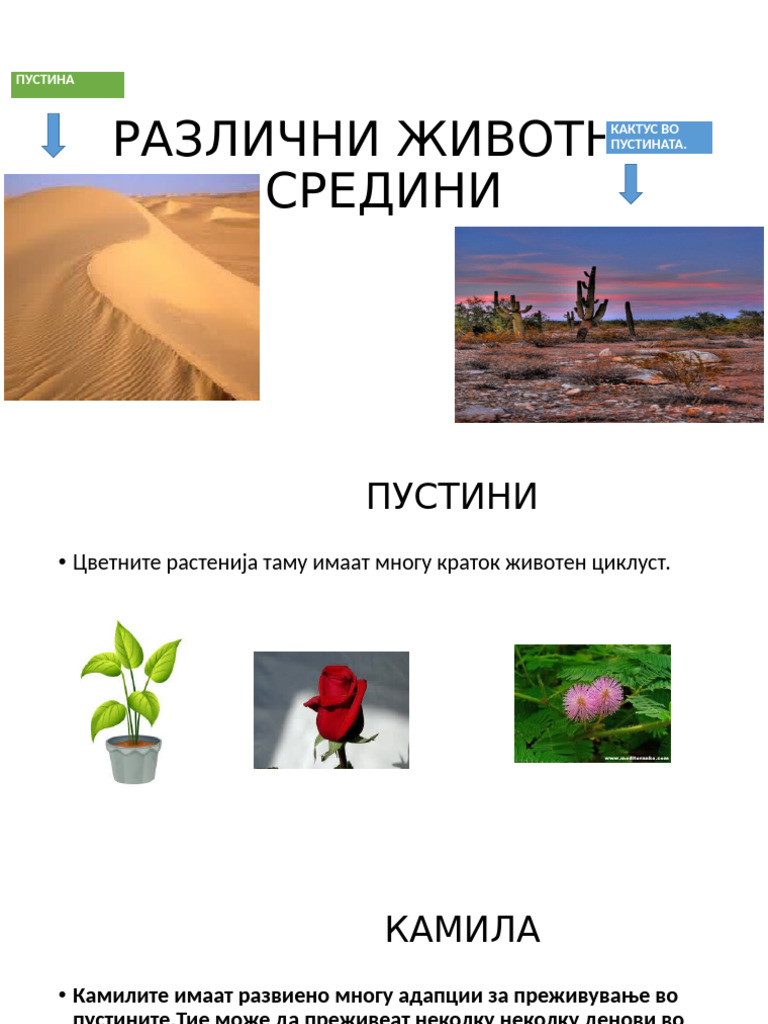 Razlicni Zivotni Sredini | PDF
