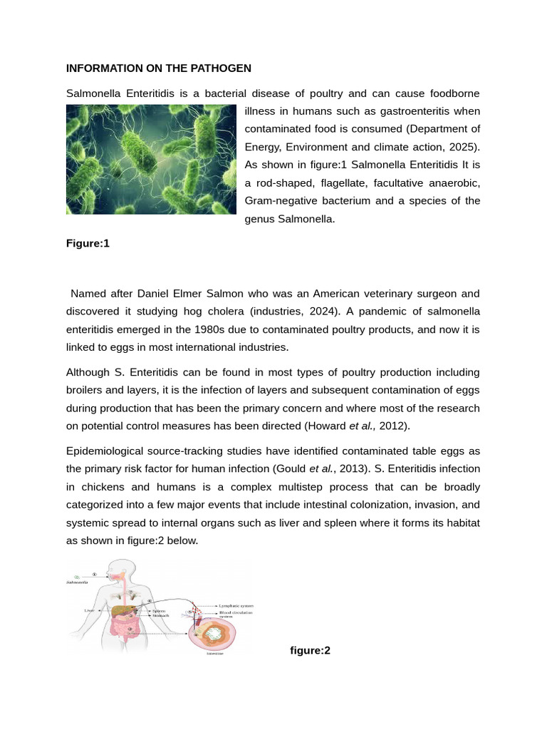 Information On The Pathogen | PDF
