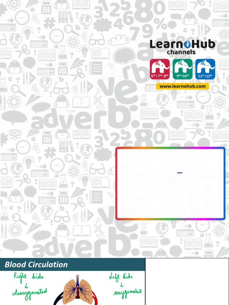 Circulatory System Class 6 Part 2 | PDF
