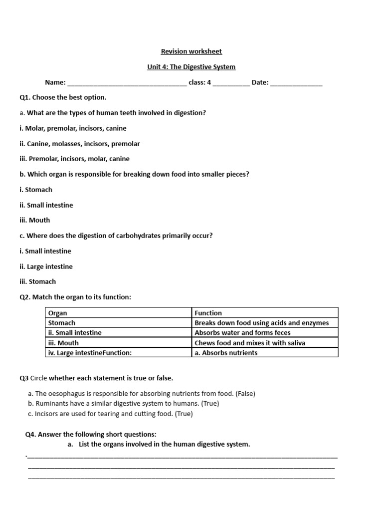 Revision Worksheet Unit - The Digestive System | PDF | Digestion ...