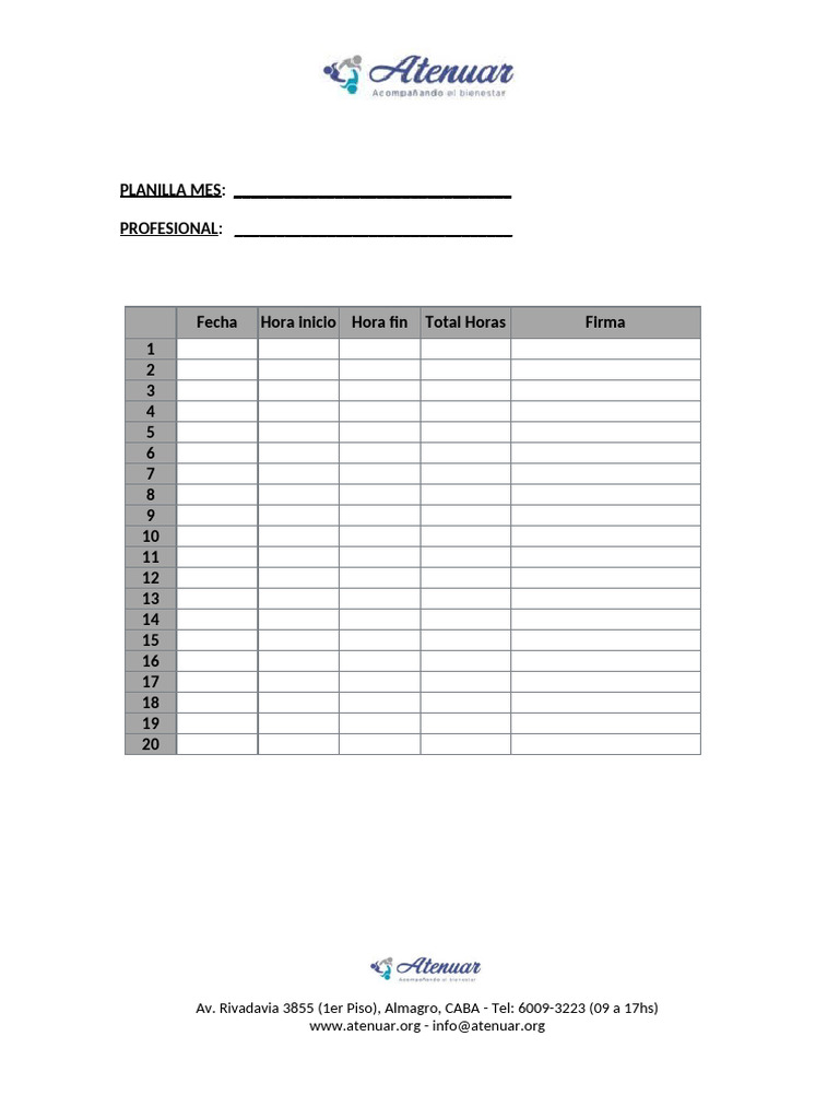 PLANILLA Profesionales | PDF