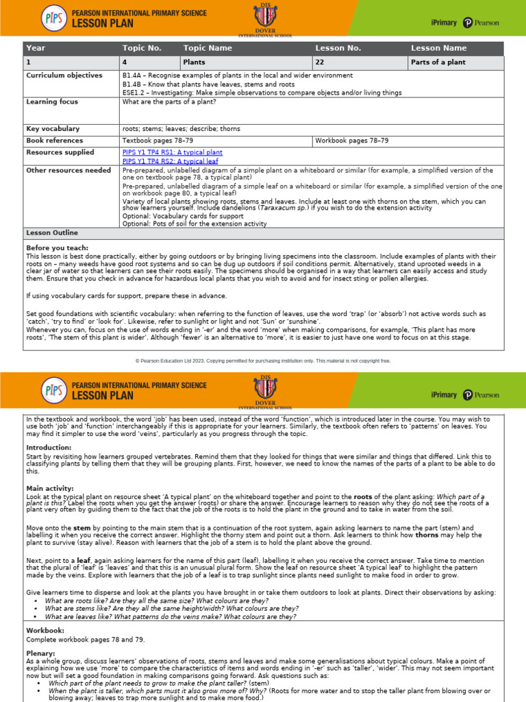 Pips Lesson Plan Year 1 Topic 4 | PDF | Trees | Leaf