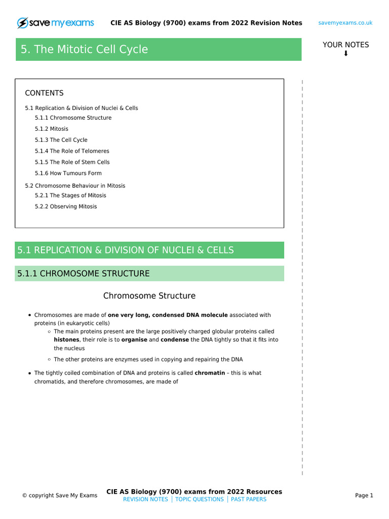 5.1.1_the Mitotic Cell Cycle | PDF | Mitosis | Cell Potency