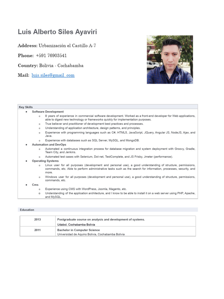 Resume Siles, Luis 13-05-25 | PDF | Selenium (Software) | Computer ...
