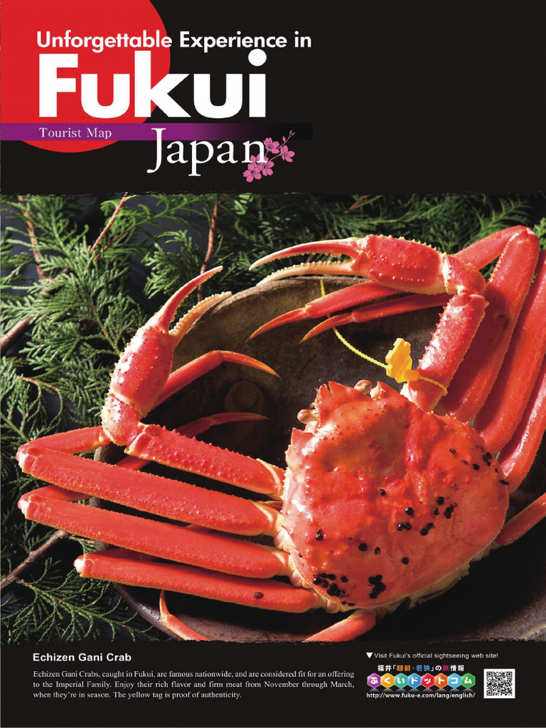 Fukui Tourist Map | PDF