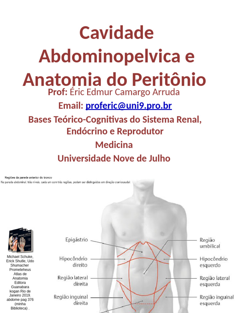 Cavidade Abdominopelvica e Anatomia Do Peritônio | PDF | Elsevier ...