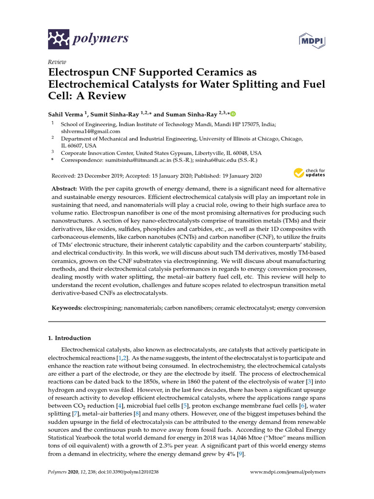 Polymers 12 00238 v2 | PDF | Fuel Cell | Catalysis