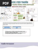 Zero Matematik Kamp Programı | PDF